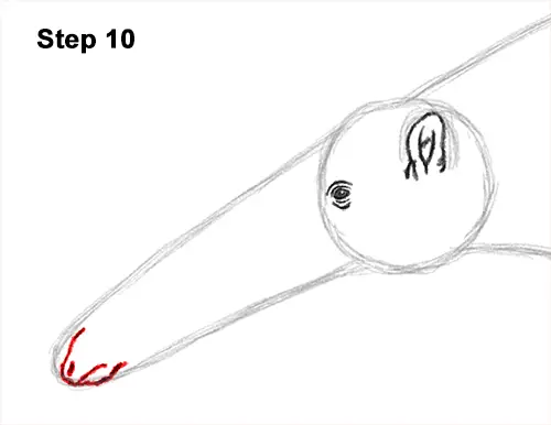 How to Draw an Anteater
