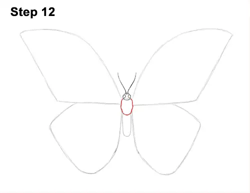 How to Draw a Butterfly (Blue Morpho)