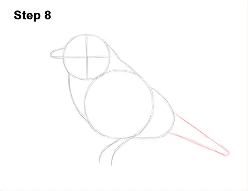 How to Draw a Bluebird VIDEO & Step-by-Step Pictures