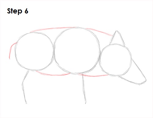 How to Draw a Boar