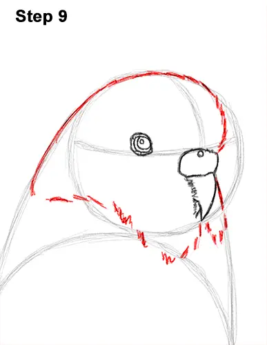 How to Draw a Budgie / Parakeet (Blue)