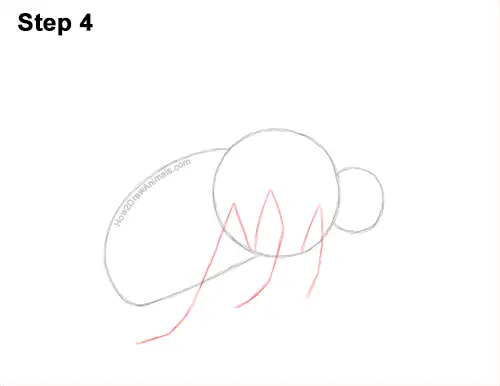 How to Draw a Bumblebee VIDEO & Step-by-Step Pictures