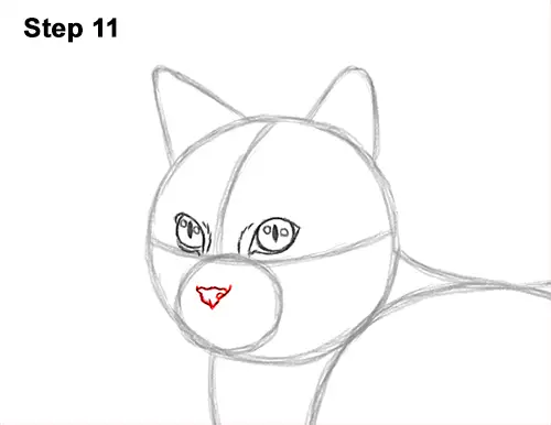 How to Draw a Cat (Calico) VIDEO & Step-by-Step Pictures