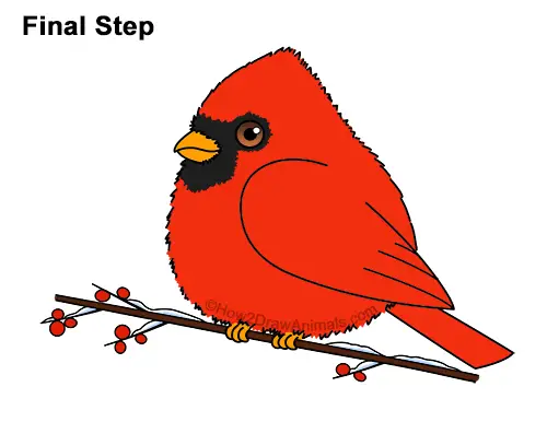 How to Draw a Cardinal (Cartoon)