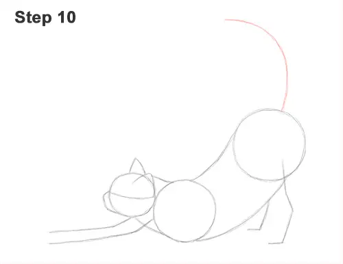 How to Draw a Cat (Stretching)