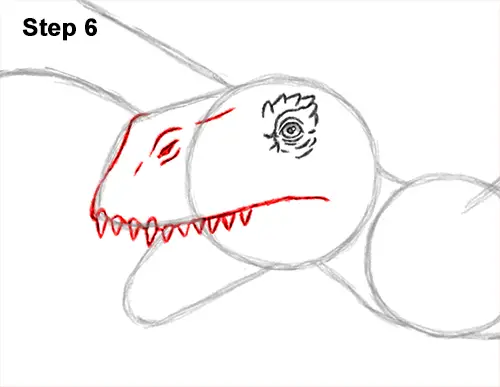 How to Draw a Dimorphodon VIDEO & Step-by-Step Pictures