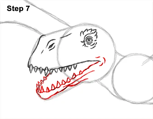 How to Draw a Dimorphodon VIDEO & Step-by-Step Pictures