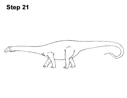 How to Draw a Diplodocus VIDEO & Step-by-Step Pictures