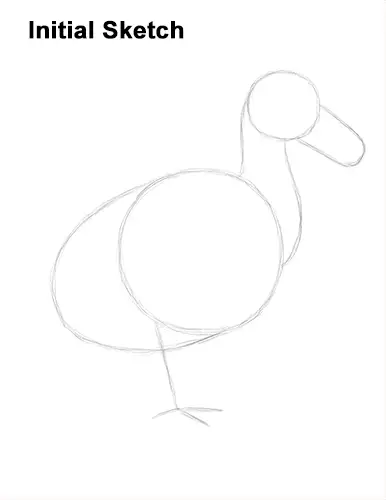 How to Draw a Dodo