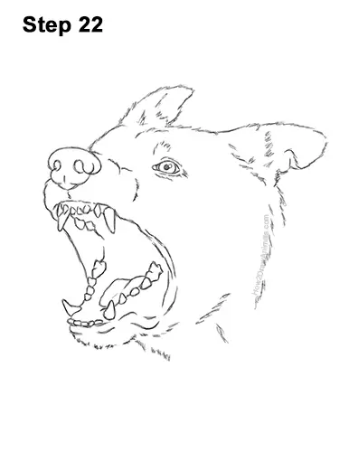 How to Draw a Dog Barking (German Shepherd) VIDEO & Step-by-Step Pictures
