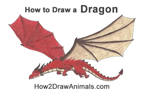 How to Draw a Dragon Flying (Color) VIDEO & Step-by-Step Pictures