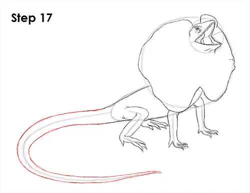 How to Draw a Frilled-Neck Lizard