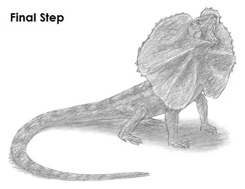 How to Draw a Frilled-Neck Lizard