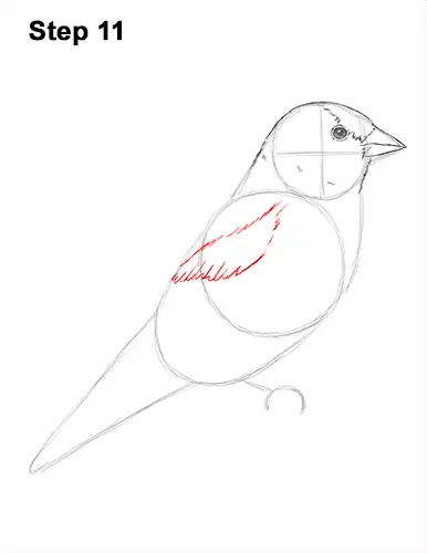 How to Draw a Goldfinch