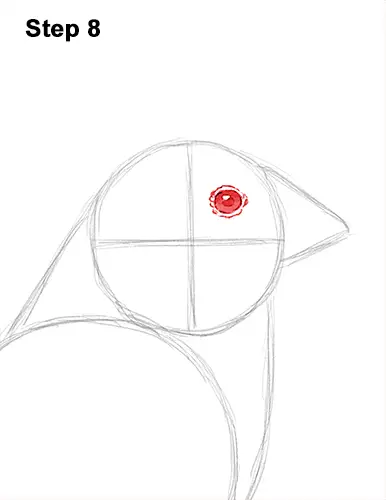 How to Draw a Goldfinch