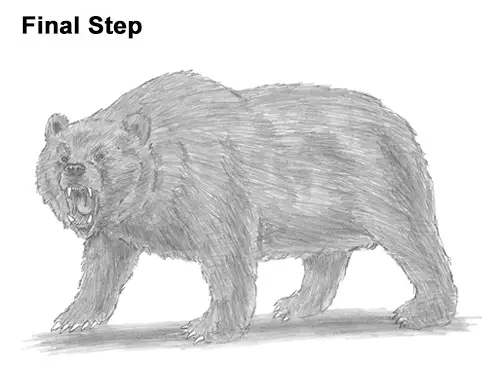 How to Draw a Grizzly Bear (Growling)