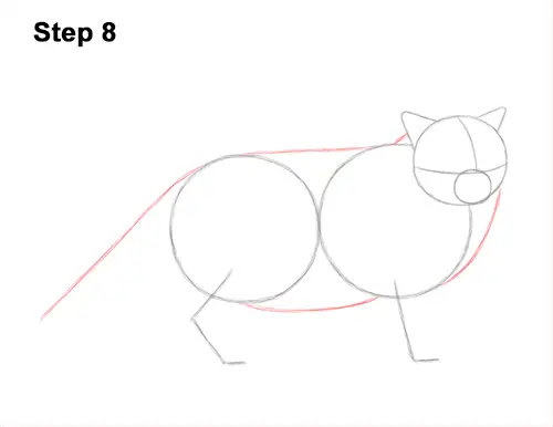 How to Draw a Cat (Himalayan) VIDEO & Step-by-Step Pictures