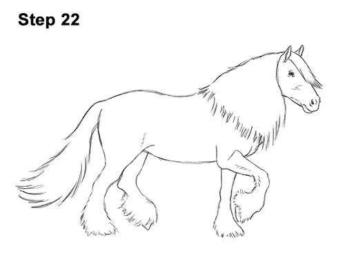 How to Draw a Horse (Gypsy) VIDEO & Step-by-Step Pictures