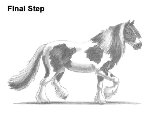 How to Draw a Horse (Gypsy) VIDEO & Step-by-Step Pictures
