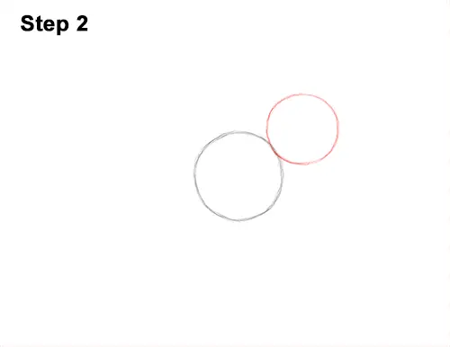 How to Draw a Jerboa (Long-Eared)