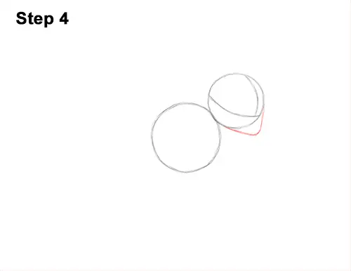 How to Draw a Jerboa (Long-Eared)