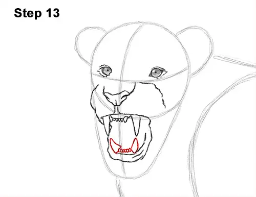 How to Draw a Lion Roaring