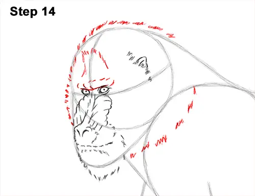 How to Draw a Mandrill