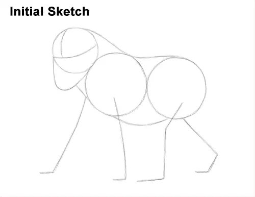 How to Draw a Mandrill