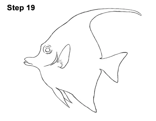 How to Draw a Moorish Idol Fish