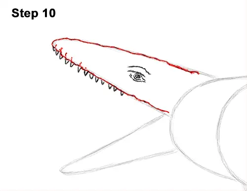 How to Draw Mosasaurus
