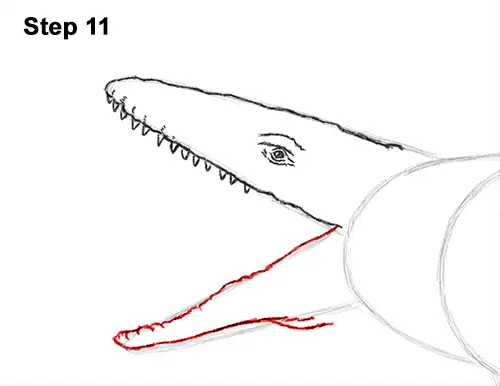 How to Draw Mosasaurus