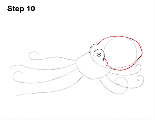 How to Draw an Octopus