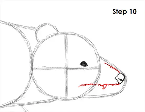 How to Draw an Opossum