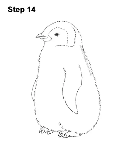 How to Draw a Penguin Chick VIDEO & Step-by-Step Pictures