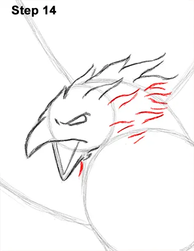 How to Draw a Phoenix