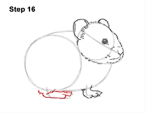How to Draw a Pika VIDEO & Step-by-Step Pictures