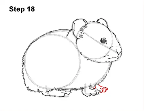 How to Draw a Pika VIDEO & Step-by-Step Pictures