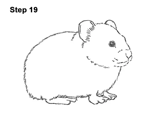 How to Draw a Pika VIDEO & Step-by-Step Pictures