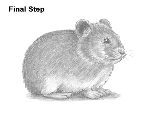 How to Draw a Pika VIDEO & Step-by-Step Pictures
