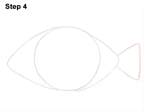How to Draw a Piranha