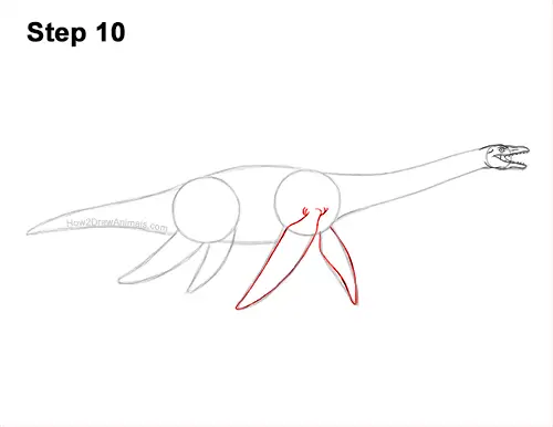 How to Draw a Plesiosaurus VIDEO & Step-by-Step Pictures