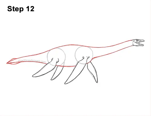 How to Draw a Plesiosaurus VIDEO & Step-by-Step Pictures