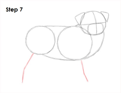 How to Draw a Dog (Pug) VIDEO & Step-by-Step Pictures