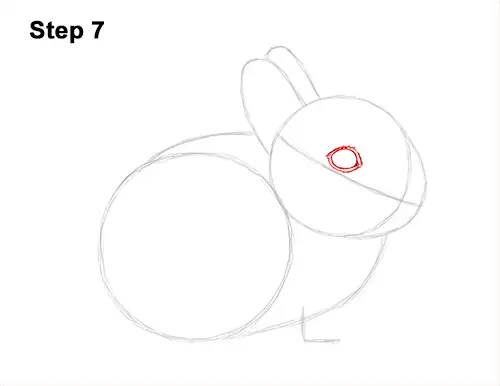 How to Draw a Rabbit (Baby) VIDEO & Step-by-Step Pictures