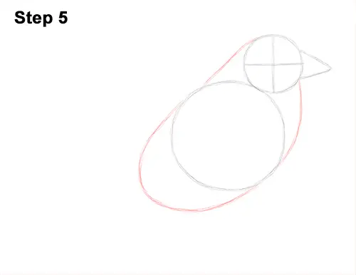 How to Draw a Sparrow