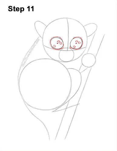 How to Draw a Tarsier VIDEO & Step-by-Step Pictures