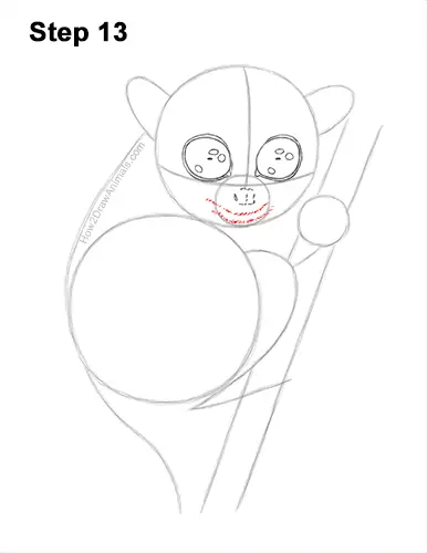 How to Draw a Tarsier VIDEO & Step-by-Step Pictures