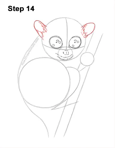 How to Draw a Tarsier VIDEO & Step-by-Step Pictures