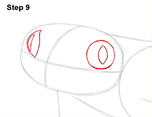 How to Draw a Frog (Red-Eyed Tree Frog)