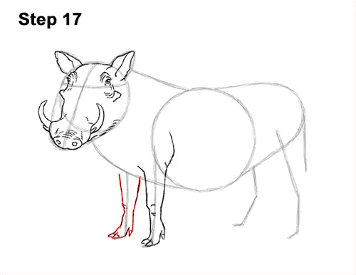 How to Draw a Warthog VIDEO & Step-by-Step Pictures